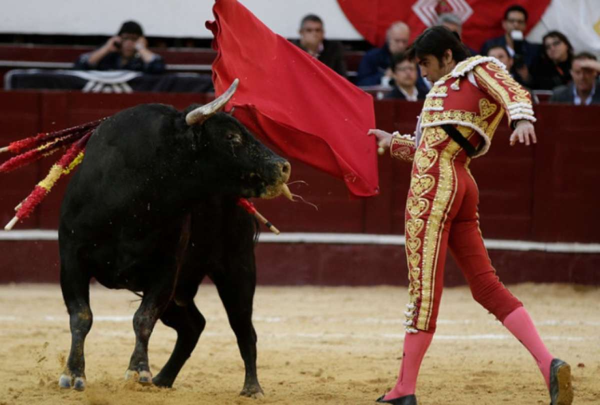 Colombia prohibirá las corridas de toros a partir de 2027 - Si Se Puede ...